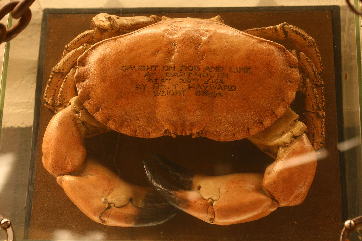 Gallery | Cullins Yard